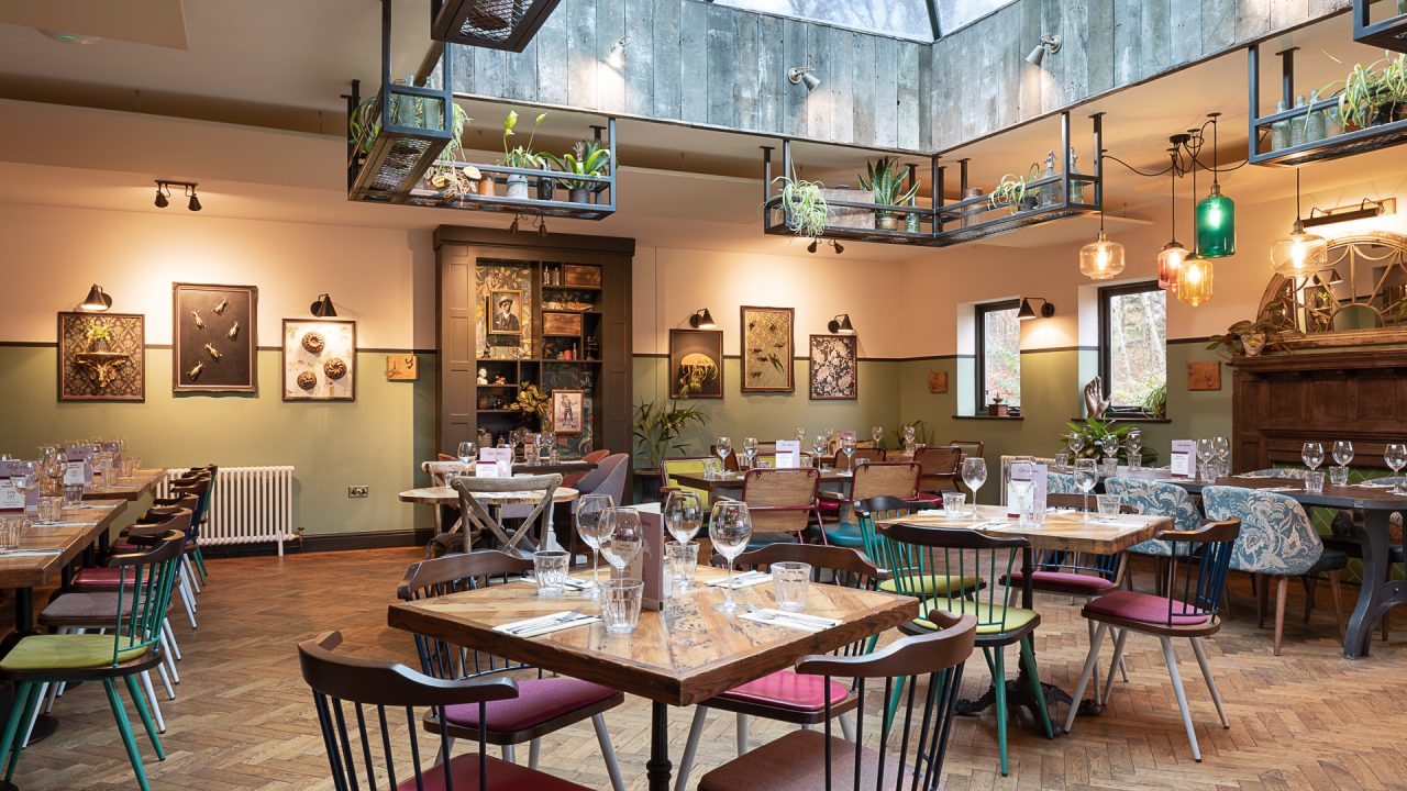 The Crown & Cushion - The Crown & Cushion - The Crown & Cushion